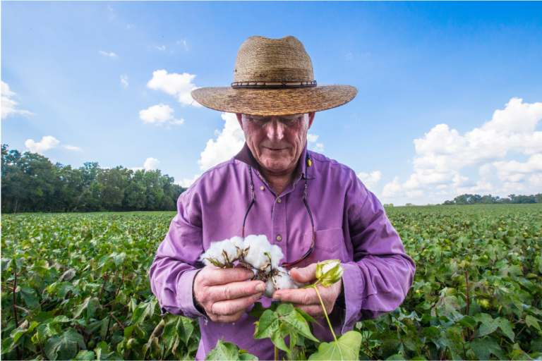 Accounting - Athens State University