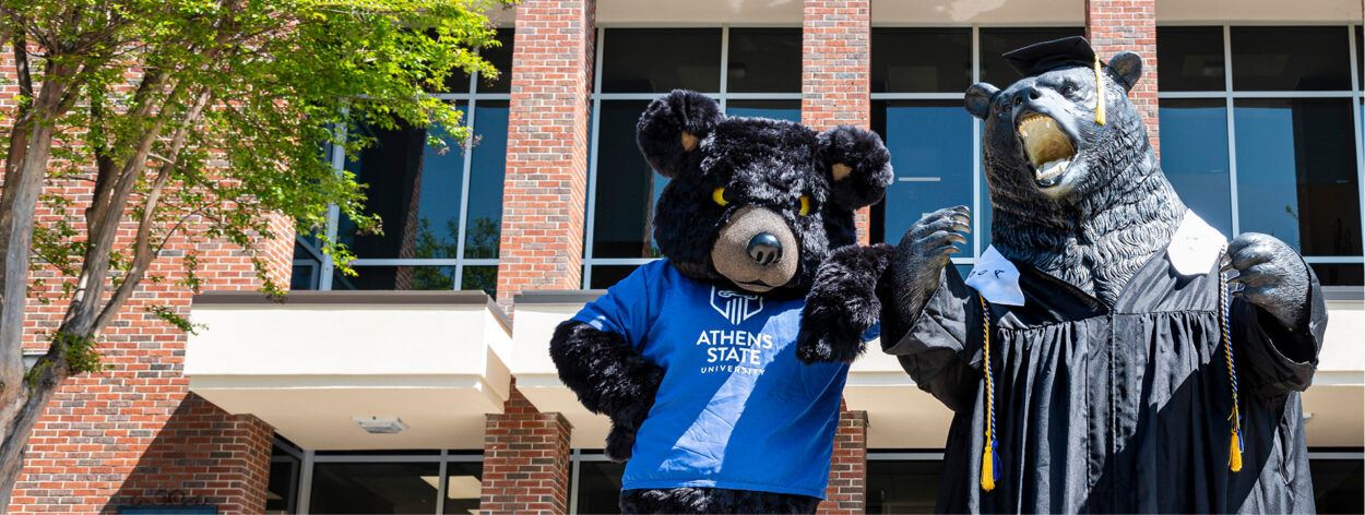 Hebrew the Bear Mascot - Athens State University